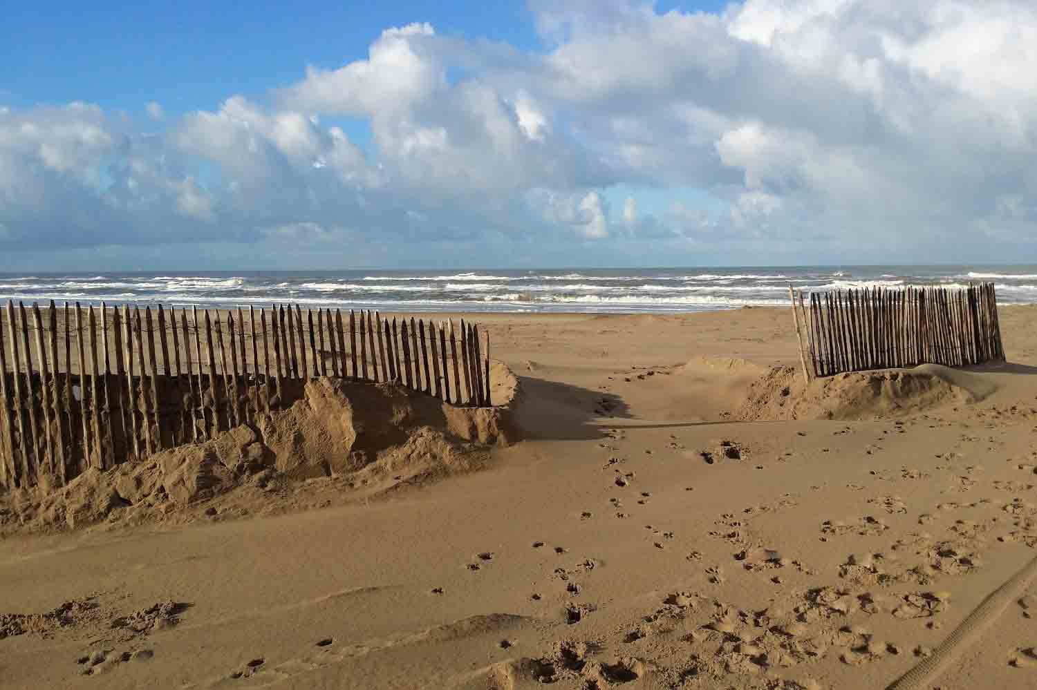 Omgeving Noordwijkse Duinen huis nr. 345 | Noordwijk-vakantiehuis